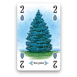 Renegade Game Studios Arboretum Strategy Card Game That Challenges 2-4 Players Aged 8 & Up to Create The Most Beautiful Garden (Packaging May Vary)