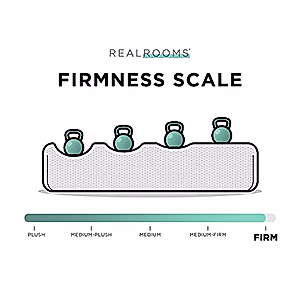 REALROOMS Tyler Velvet Upholstered Futon, Convertible Sofa Bed & Couch, Blue