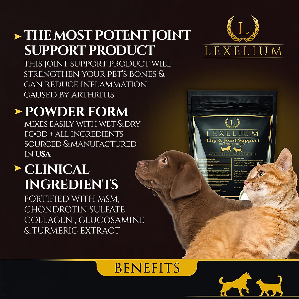 Lexelium Joint Supplement for Dogs & Cats - Chondroitin Sulfate, Turmeric, MSM, Glucosamine & Calcium for Healthy Bones & Optimal Skeletal Function - Optimal Joint Care to Help w/Arthritis- 200g