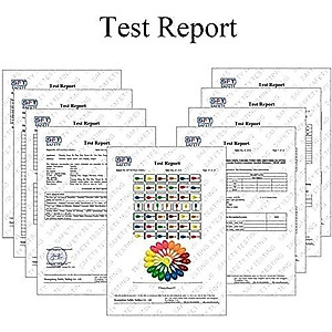 24pcs Mini Maracas for Kids Mexican Fiesta Party Favors Plastic Maraca Shakers Noisemaker for Cinco de Mayo Day of the Dead Fiesta Mexican Themed Birthday Christmas Party Supplies Favors Kids Gifts