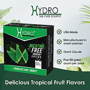 Hydro Hookah Flavors Shisha Strawberry, Mango, Peach, Grape, Melon, Coconut, Guava, Chocolate Mint, Lemon Mint, Jamaican Mint, Watermelon Mint Flavors & More, 50-Gram Packs (Pack of 12)