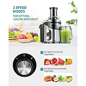 Ultrean Juicer Machine, 800w Juicer with Big Mouth 3” Feed Chute, Dual Speeds Centrifugal Juice Maker for Fruits and Veggies, Easy to Clean and BPA Free