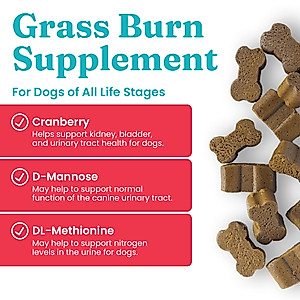 Solid Gold Dog Urine Neutralizer for Lawn Chews - Grass Guardian with Urinary Tract, Kidney, Bladder, and pH Support to Reduce Grass Pee Spots & Grass Burn - 120 Count