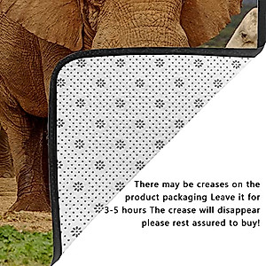 Washable Area Sponge Rug Mat for Kids Girls Boys Bedroom Living Room African Elephant, Exotic Jungle Wild Animal Non-Slip Carpet Super Soft Extra Thick Bathroom Dorm Home Indoor Small Floor Rugs