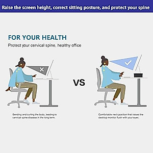 Catekro Monitor Stand Riser, 2 Tiers Wood Monitor Riser Stand with Storage Organizer, Multi-Purpose Desktop Organizer Riser for Computer,Laptop,Printer(Black)