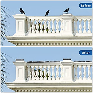 12 Pcs Bird Spikes, Fence Spikes for Bird Pigeon Cat, Plastic Bird Deterrent Spikes Defender for Garden, Fence, Roof and Wall (Black)