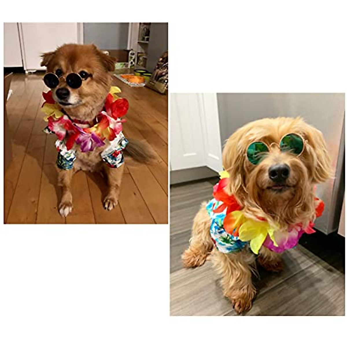 3 Pieces Pet Dog Hawaiian Costume, Includes Puppy Dog's Cool T-Shirts Summer Clothes, Funny Cute Dog Retro Fashion Sunglasses and a Colorful Wreath for Small to Medium Dog (Green Series)