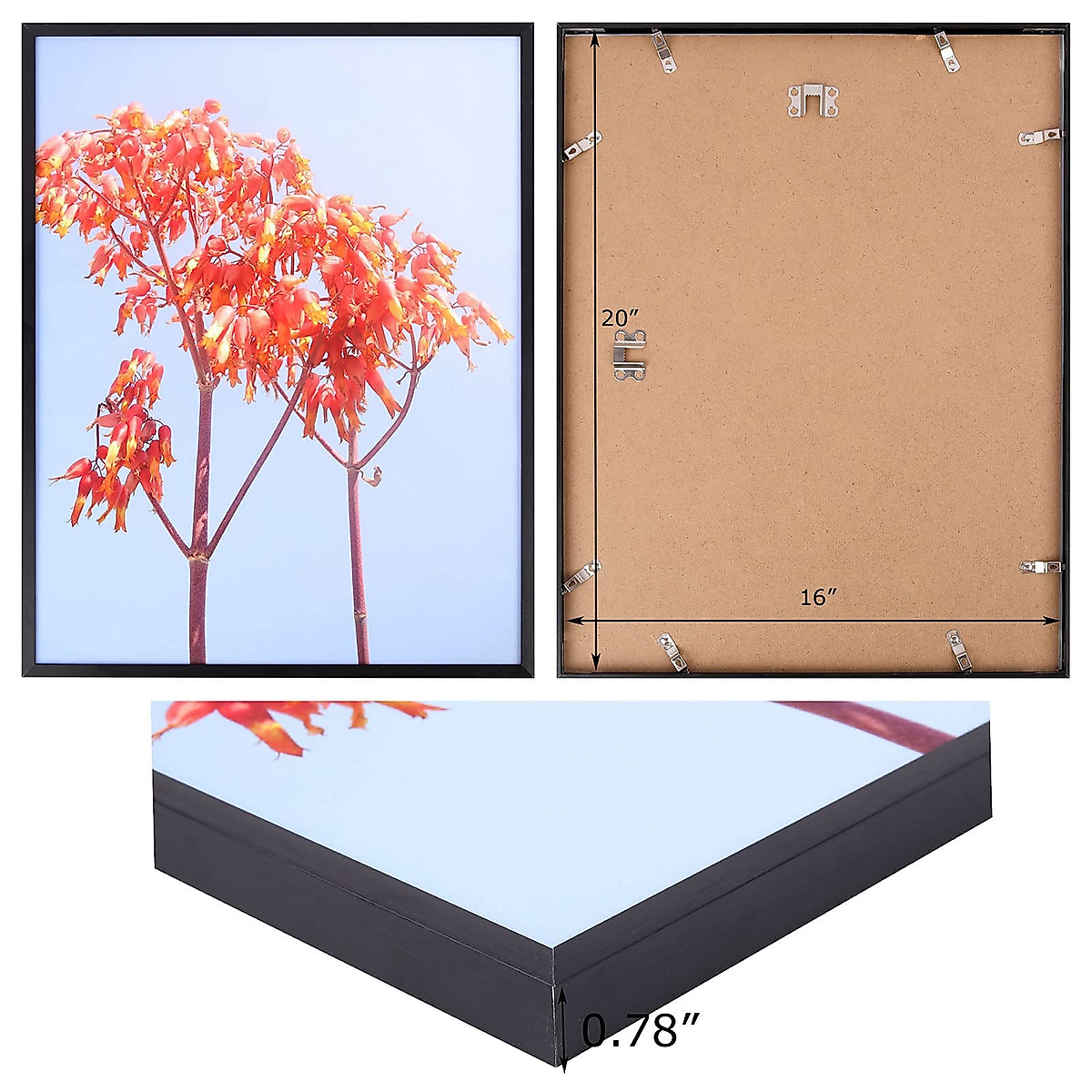 Aynoo 16x20 Poster Frame Black, Display Picturess 16x20 Metal Picture Frame,Aluminium Industries Studio Gallery Frame