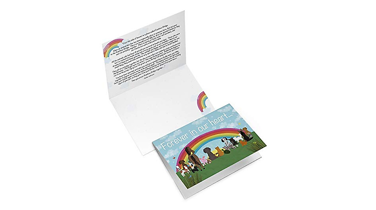 Tiny Expressions Rainbow Bridge Sympathy Card - 5x7