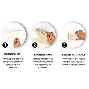 Insect Sticky Traps “BUG beds” Decorative Glue Pads, Aesthetic, Non-Toxic, Indoor, Pest Control- Mouse, Spider, Bed Bug, Cockroach, Brown Recluse, Cricket, Grasshopper, Gecko, Beetle, Scorpion