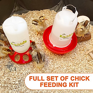 ZenxyHoC 1L Chick Feeder and 1.5L Chick Waterer Kit with 3 Adjustable Heights Combo for Baby Chicken Duck Brooder