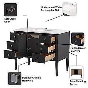 Spring Mill Cabinets Fordwin Bathroom Vanity with 1-Door Cabinet, 6 Drawers, Countertop with Undermount Sink, 43" W x 22" D 35.1" H, Shale Gray/Pulsar Top