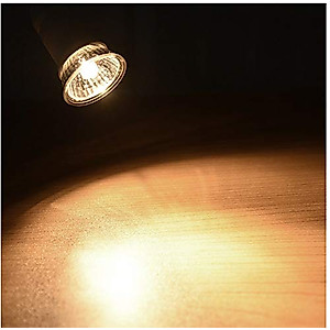 MD Lighting 6-Pack Reptile Heat Lamp Bulb, E26/E27 75 Watt Full Spectrum Sun Light Lamp for Bearde Dragon, Lizard, Turtle, Gecko & More