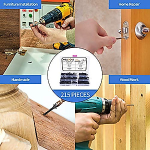 WELLOCKS Drywall Screws 230 Pcs #6×5/8" to 2-1/2" Wood Screws Assortment Kit Self Tapping Black Coating Bugle Head Coarse Phillips Sharp Point Fast Drilling for Wood Drywall Sheetrock (D158)