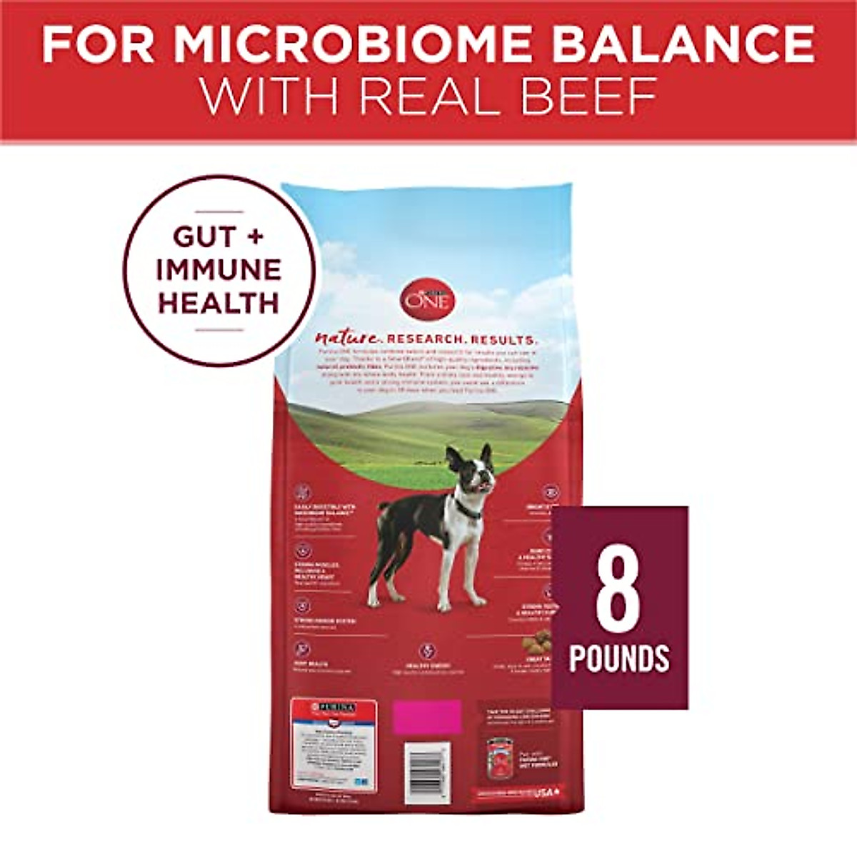 Purina ONE Small Bites Beef and Rice Formula Small Dog Food Dry - 8 lb. Bag