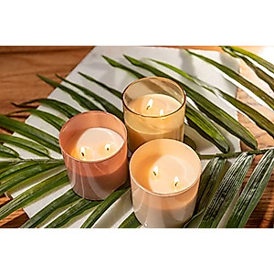 Paddywax Firefly Candle Co. Optimist Scented Candles with Soy Wax Blend and Reusable Glass Jar for Home Fragrance and Aromatherapy - 7 Ounce, Linen Rosewood, Dusty Pink