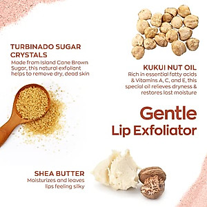Vegan and Cruelty-Free Sugar Lip Scrub Exfoliator by Hanalei – Made with Hawaiian Cane Sugar, Kukui Oil, and Shea Butter to Exfoliate, Smooth, and Brighten Lips Made in the USA (22 g)