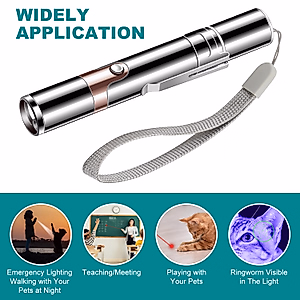 Cowjag Laser Pointer, Cat Birds Toy Pointer for Indoor, Cat Mouse Toys Wand Light Pet Interactive Toys to Keep Cat Busy, for Kitten Cat Dog Chase Play