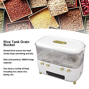 Haofy Rice Grain Bucket, 5000ml Compartment Food Storage Container White Refreshing Keeping for Restaurant (4 Grid)