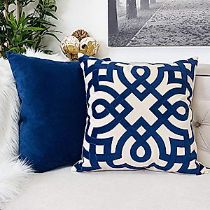 Homey COZY Ivy Throw Decoration Pillow, 1 Count (Pack of 1), Indigo