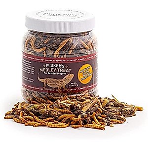 Fluker's Bearded Dragon Medley Treat Food 1.8oz - Includes Attached DBDPet Pro-Tip Guide