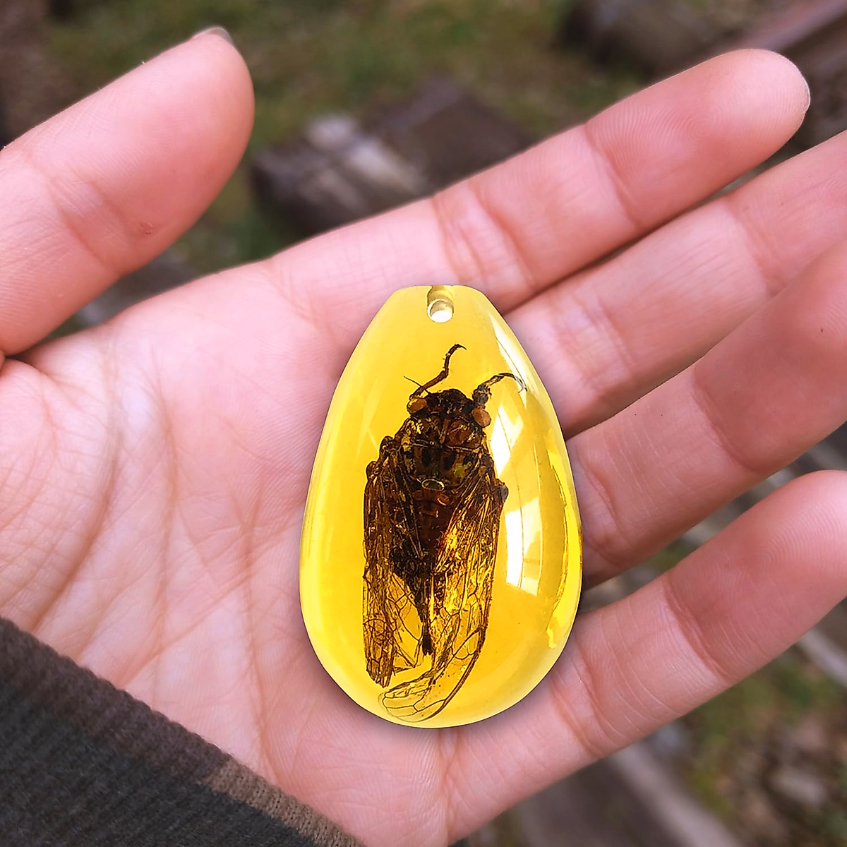 Western Eagle Workshop 8pcs Amber Fossil with Insects Samples Stones Crystal Specimens Home Decorations Collection Oval Pendant