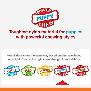 Nylabone Puppy Power Chew Toy - Tough and Durable Puppy Chew Toy for Teething - Puppy Supplies - Beef Broth & Vegetable Flavor, Small (1 Count)