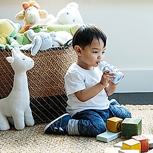 Lifefactory 4-Ounce BPA-Free Glass Baby Bottle with Protective Silicone Sleeve and Stage 1 Nipple, Yellow