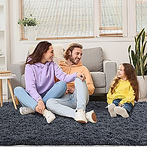 HOMBYS Soft Area Rug for Living Room 8x10 Feet, Fluffy 2.4" Plush Indoor Carpets for Kids Girls Bedroom Nursery, Ultra Large Shaggy Furry Home Decor