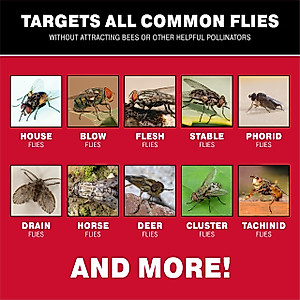 Catchmaster Pro Series Fly Bag 8-Pack, Hanging Fly Trap Outdoor Home, Bug Catcher and Flying Insect Trap with Premium Fly Bait, Pet Safe Pest Control, XL Bag for Backyard, Pool, Patio & Camping