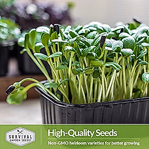 Survival Garden Seeds Sunflower Microgreens for Sprouting and Growing - 2 Packs - Sprout Green Leafy Micro Vegetable Plants Indoors - Grow A Mini Windowsill Garden - Non-GMO Heirloom Variety