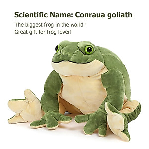 MorisMos Giant Frog Stuffed Animal Frog Plush, Large Stuffed Frog Plush, Big Stuffed Green Frog Pillow for Kids, 22 Inch