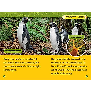 Rainforests (National Geographic Kids Readers, Level 2)