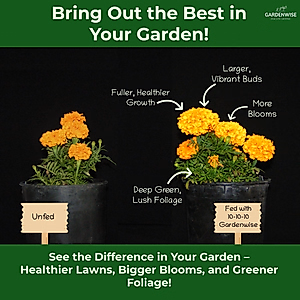 10-10-10 Plant Fertilizer Slow Release – 10 10 10 All Purpose Granular Garden Fertilizer for Fruit Trees, Evergreens, Vegetables, Arborvitae, Fig Trees, Shrubs, Pines, Oaks, Flowers (1 Quart)