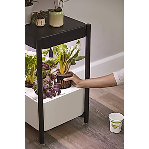 Miracle-Gro Twelve Indoor Growing System, Side Table with LED Grow Light for Year Round Gardening, Planter For Leafy Greens, Herbs & Flowers