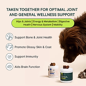 Wuffes Hip and Joint Supplement for Large Breeds and 23-in-1 Multivitamin Bundle