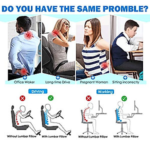 Lumbar Support Pillow for Office Chair and Car Seat Back Support Memory Foam Back Cushion for Lower Back Pain Relief, Lower Back pillow for Gaming Chair, Desk Chair with 3D Mesh Cover Adjustable Strap