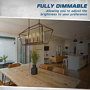 OHBULBS G25 Clear LED Light Bulb with E26 Medium Base Bulb | 5.5 Watt Dimmable Cut Glass Filament 3000K White Light – Ideal for Chandeliers, Vanity Fixtures, Bath Bars, Pendant Lights