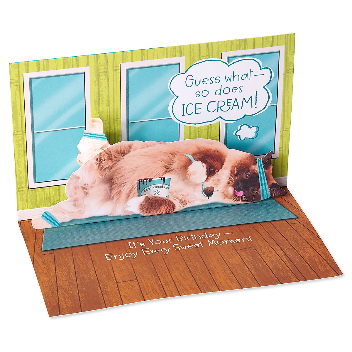 American Greetings Funny Birthday Card for Her (So Does Ice Cream)