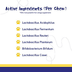 PupGrade 2-Pack Skin & Coat and Digestive Chews for Dogs - Coat Care & Allergy Defense Supplement with Natural Fish Oils - Prebiotic and Probiotic Supplement with Enzyme Blend - 120 Chews