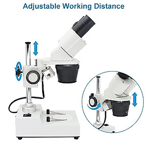 SDGH Binocular Stereo Microscope Industrial Stereo Microscope Top LED Illumination Mobile Phone PCB Soldering Repair Tool (Color : OneColor, Size : 20X)