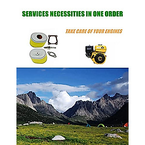 AFZE18 GX160 GX200 Air Filter for Honda and Clones GX120 Coleman Ct200u Bt200x MB165 MB200 159cc 196cc 212cc 17210-ZE1-505