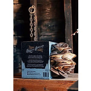 Hodgins Harvest Extra-Large Oyster Mushroom Grow Kit (7lbs) | USDA Certified Organic | Grow Your Own Delicious Gourmet Mushrooms at Home