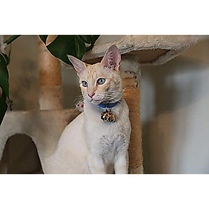 2 Extra Loud Cat & Dog Bells | Pet Tracker | Save Birds & Wildlife | Luxury Handmade Copper | Beau's Bells (Medium)