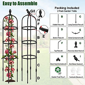 MYard 2 Pack Garden Obelisk Trellis, 6FT Tall Rustproof Climbing Plant Support, Garden Tower Trellis for Potted Plants Flowers Vegetable Vine Indoor Outdoor