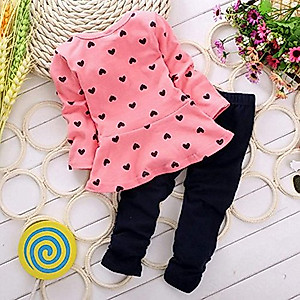 Cute Toddler Baby Girls Clothes Set Long Sleeve T-Shirt and Pants Kids 2pcs Outfits (Pink2, 2-3 T)