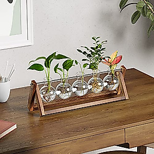 CFMOUR Plant Terrarium with Wooden Stand, Desktop Propagation Stations Glass Air Planter Metal Swivel Holder for Indoor Live Hydroponics Plants Office Home Garden Decor (5 Bulb Vase)
