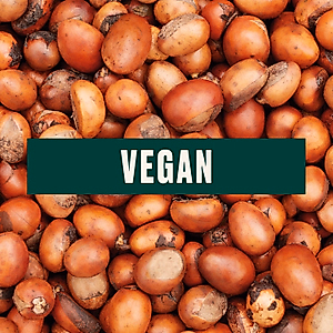 The Body Shop 100% Natural Shea Butter – Nourishing Multi Purpose Butter for Body, Hair, Face & Lips – Vegan – 5 oz