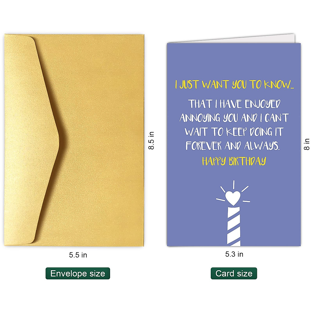 Chenive Happy Birthday Card for Husband Wife, Funny Birthday Card for Boyfriend Girlfriend, Romantic Bday Greeting Card, Enjoyed Annoying You Card