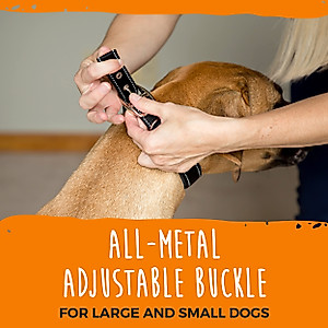 Mighty Paw Dog Collar - Padded Comfort - Neoprene Lining - High Visibility Reflective Threading - Weatherproof Nylon - Buckle Adjustable Dog Collar - Comfortable Dog Collar for All Dog Breeds